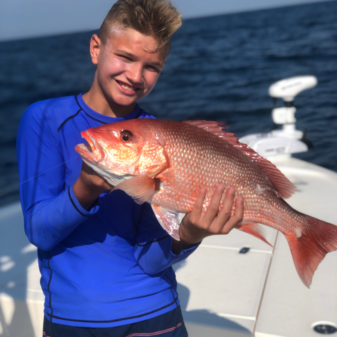 Meet the Gulf Red Snapper: The Gem of the Gulf Waters ...